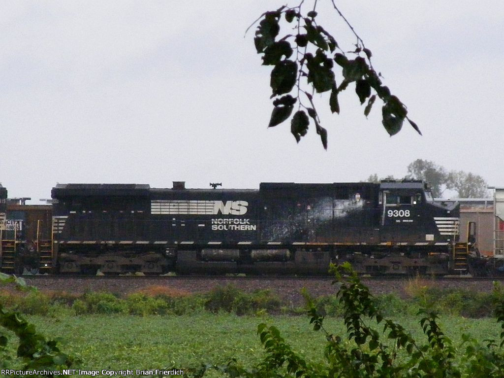 NS 9308